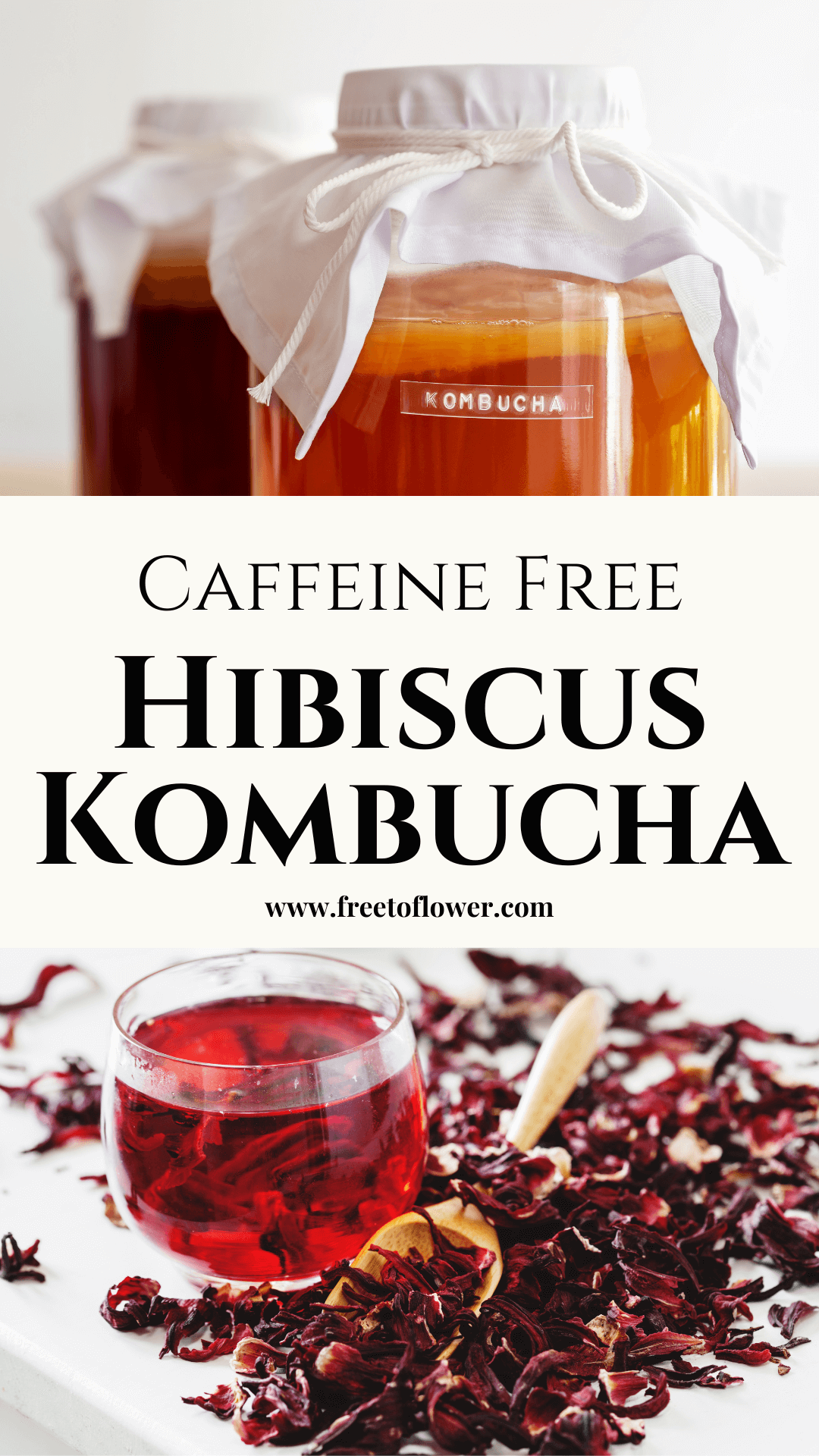 Easy homemade kombucha made with hibiscus tea - Free to Flower