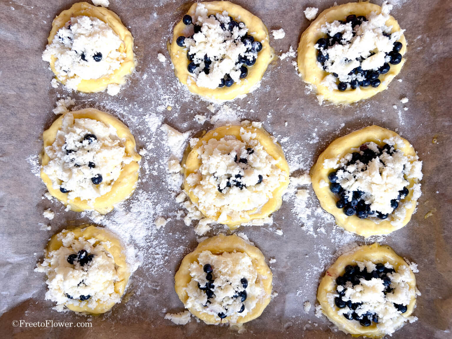 Are Wild Blueberries Safe to Eat? Benefits & Things to Know