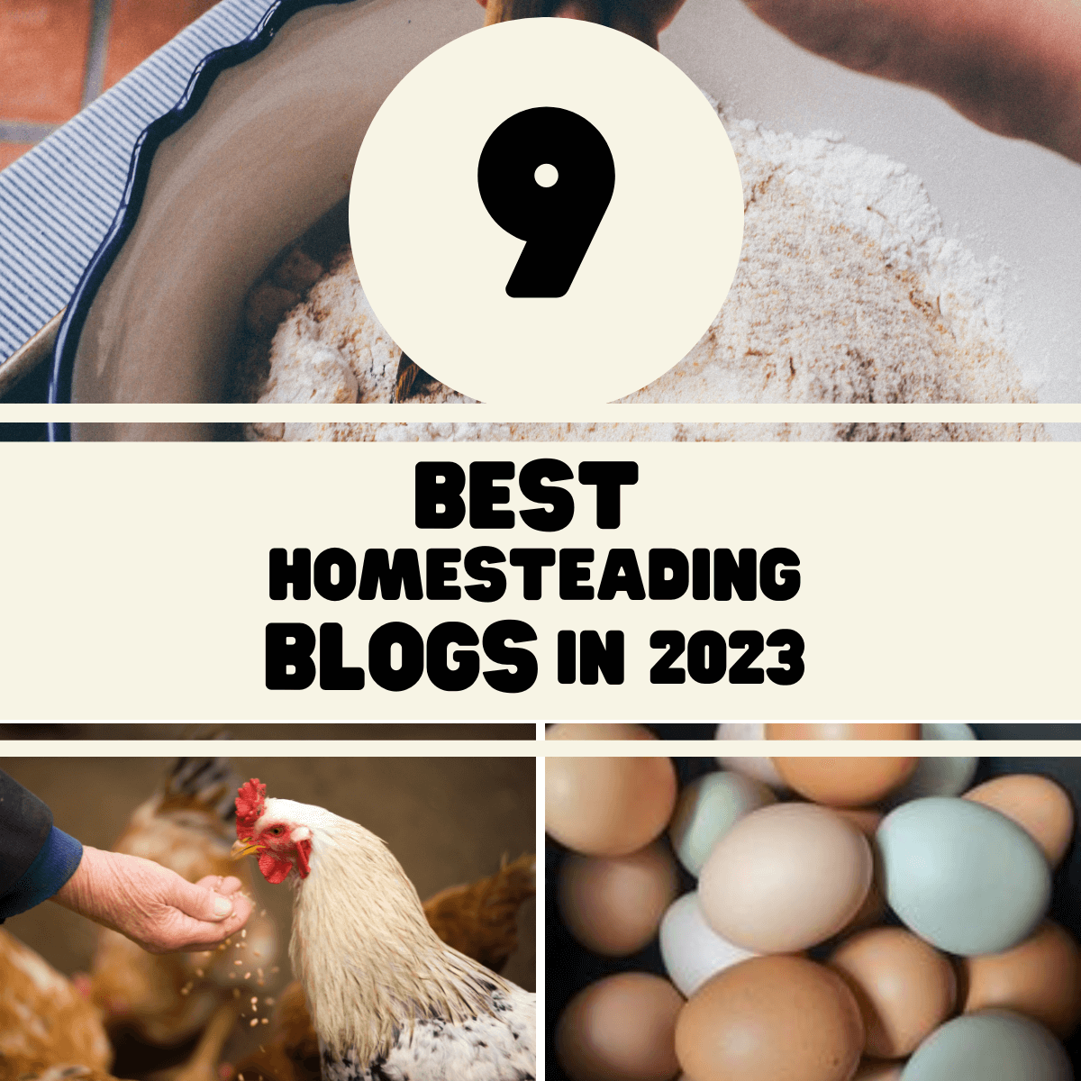 Best Homesteading Blogs to learn from in 2023 - Free to Flower