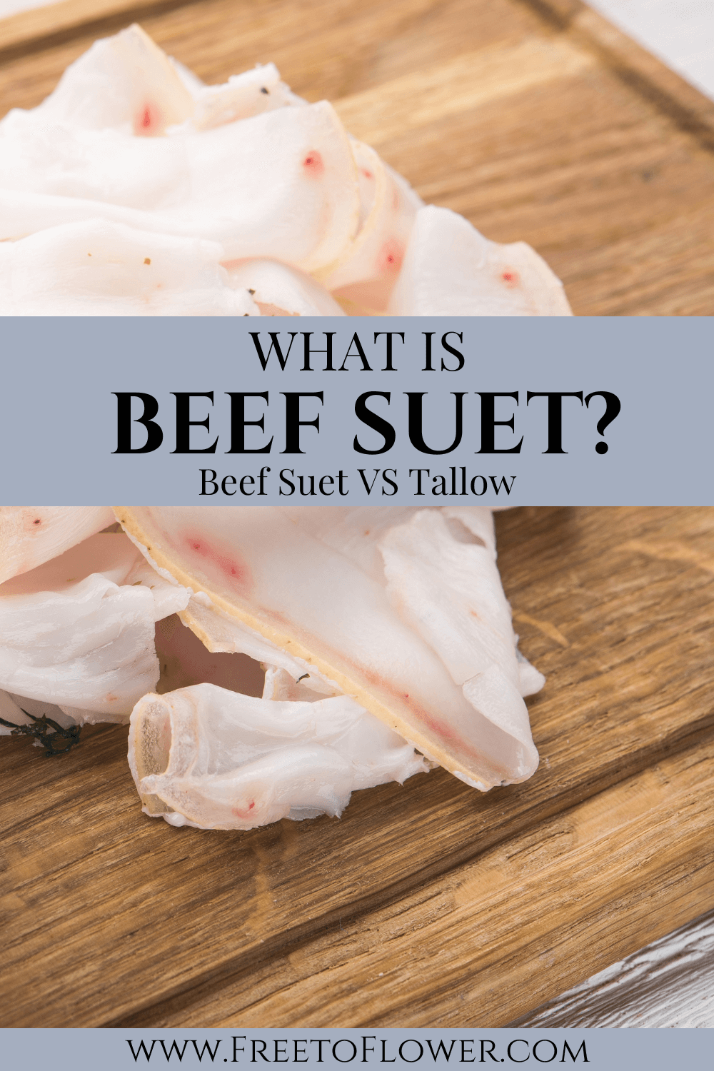 What is the difference between beef suet VS tallow? - Free to Flower