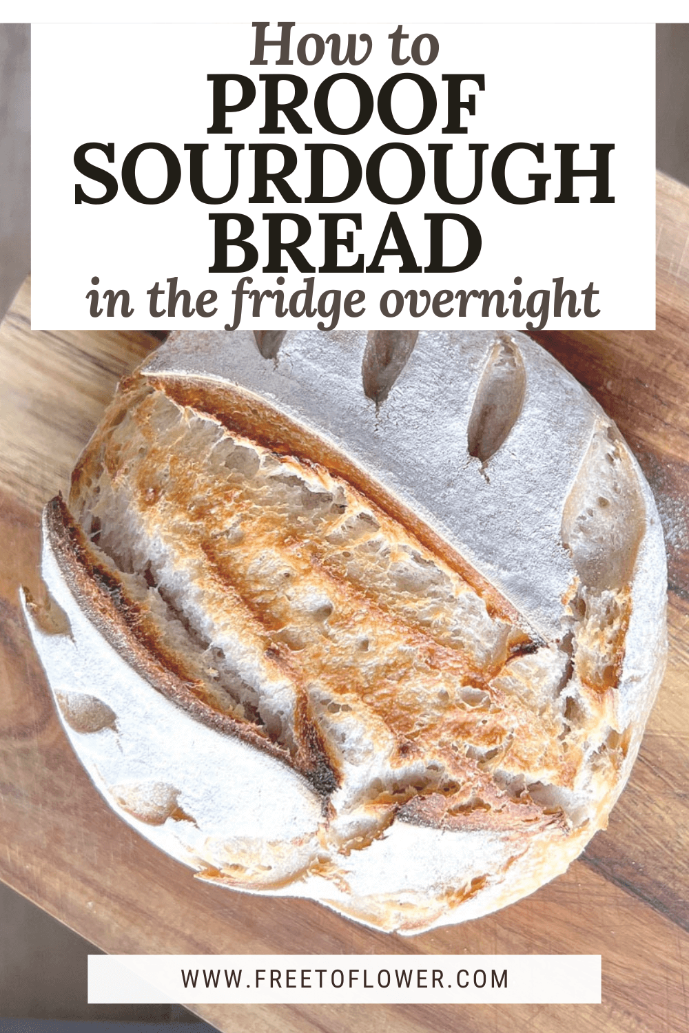How to Proof Sourdough Bread in the Fridge Overnight - Free to Flower