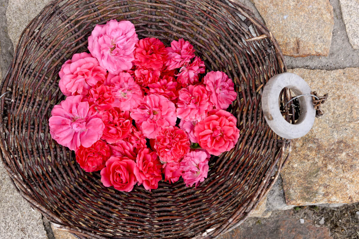 Best Ways to Dry Roses & How to Store Dried Rose Petals