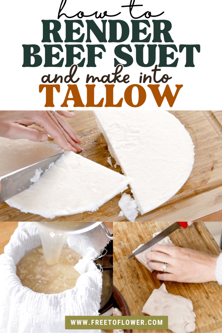 How to Render Beef Suet and make into Tallow - Free to Flower