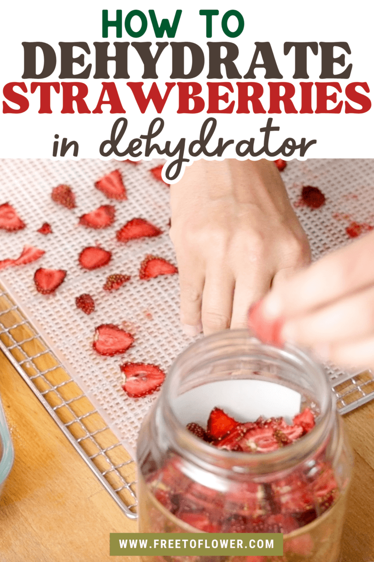 How to Make Dried Strawberries in Dehydrator