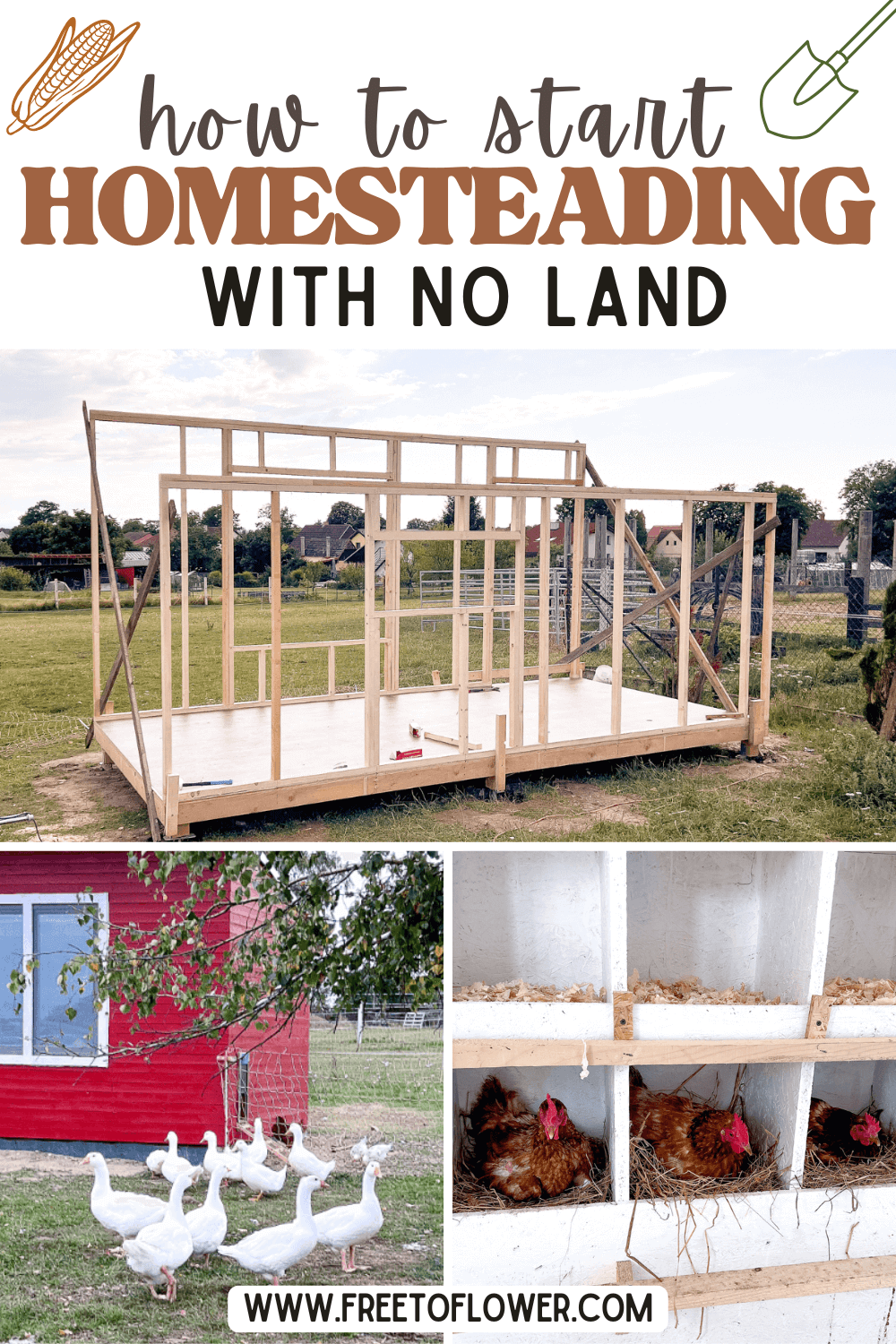 How to Start Homesteading with No Land - Free to Flower